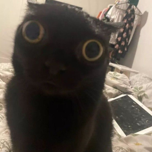 Stream Stay around me (cover) - misterjujui by kezsqx | Listen online ...