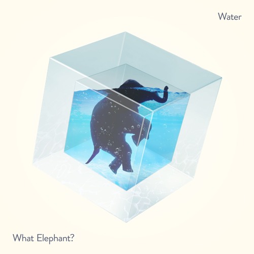 Stream Well Gone Dry (feat. Rose Daniels) by What Elephant? | Listen ...