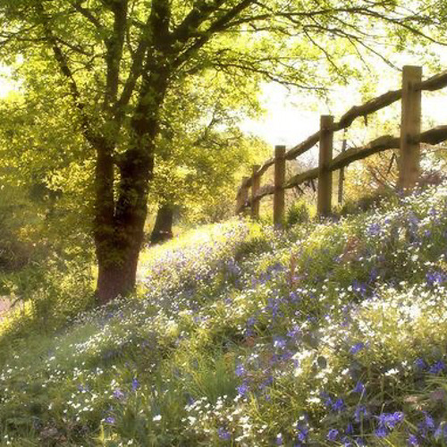 Stream 난춘 亂春 - 새소년 (Cover) by Sandy Kwon 꿩유갱 | Listen online for free ...