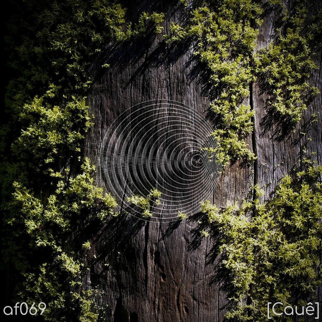 Stream AF069 Cauê by Anodynic Frequencies | Listen online for free on ...