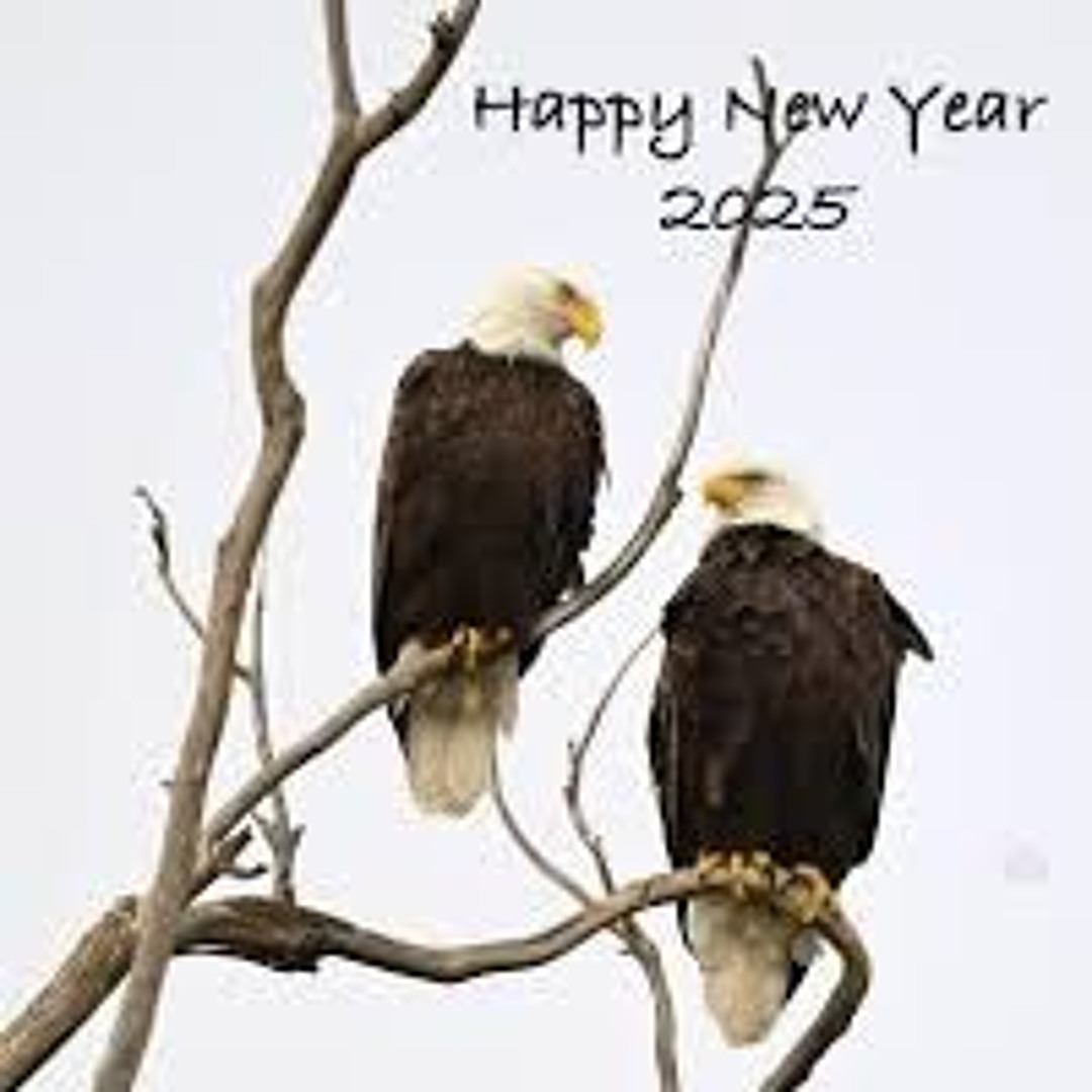 Stream episode Birding with Al Batt 1-7-2025 by The Maverick FM podcast ...