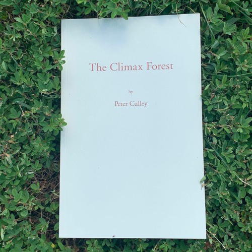 Stream Peter Culley - A Letter from Hammertown to East Vancouver and ...