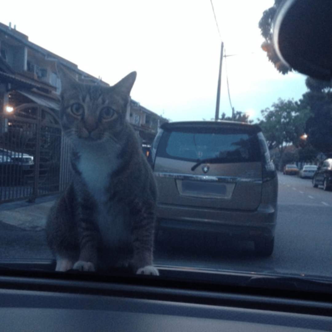 Stream Quincy | Listen to idk man js my shit playlist online for free on SoundCloud