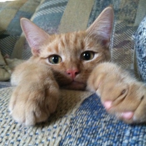 Stream why am i so sad? by Purple Shotty / WaveGod / DJKetSniff ...