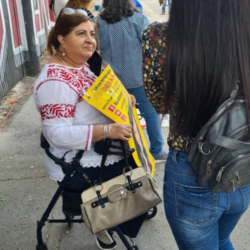 Stream Leticia Vázquez, madre de Erika Cueto. by Denisseagcr | Listen ...