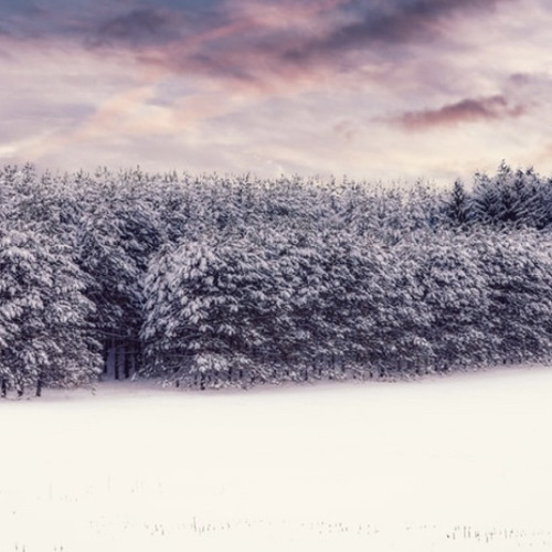 Stream Facial Expressions by SGp | Listen online for free on SoundCloud