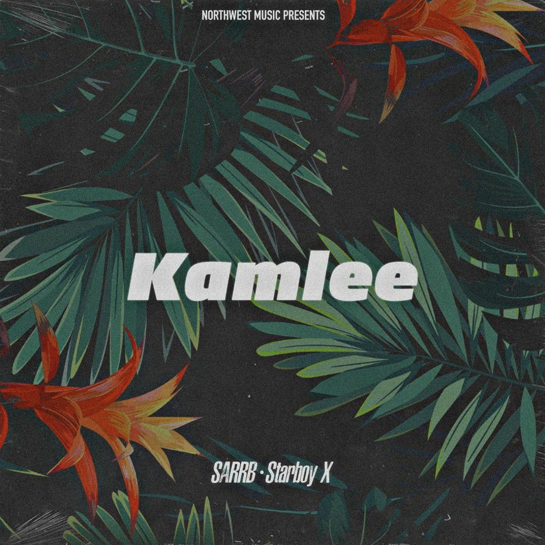 Stream Kamlee | Starboy X by PL4U | Listen online for free on SoundCloud