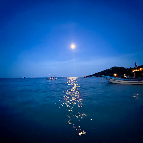 Stream Bushwacka! cheeky little hour July 2025 by Bushwacka! | Listen ...