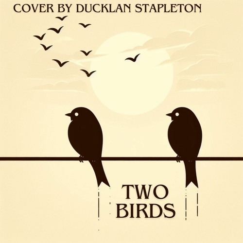 Stream Two Birds - Piano Cover By Ducklan Stapleton by Ducklan ...