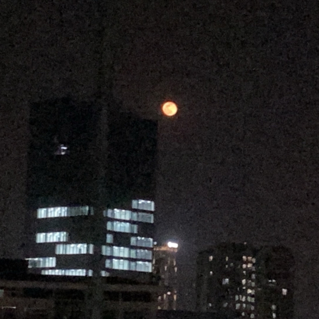 Stream megan fox face cc; kottie subliminal.mp3 from cure. | Listen ...