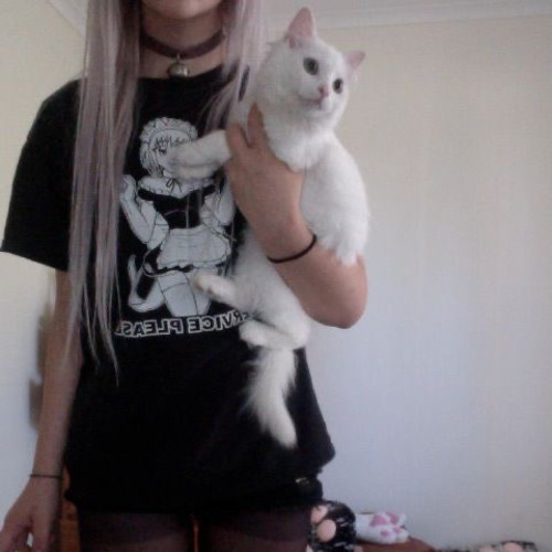 Stream 6snot - im so in love withu by ‍ | Listen online for free on ...