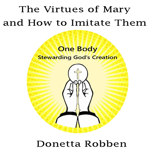 Stream The Virtues of Mary and How to Imitate Them by DMR | Listen ...