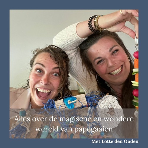 Stream episode #32 Alles over de magische en wondere wereld van ...
