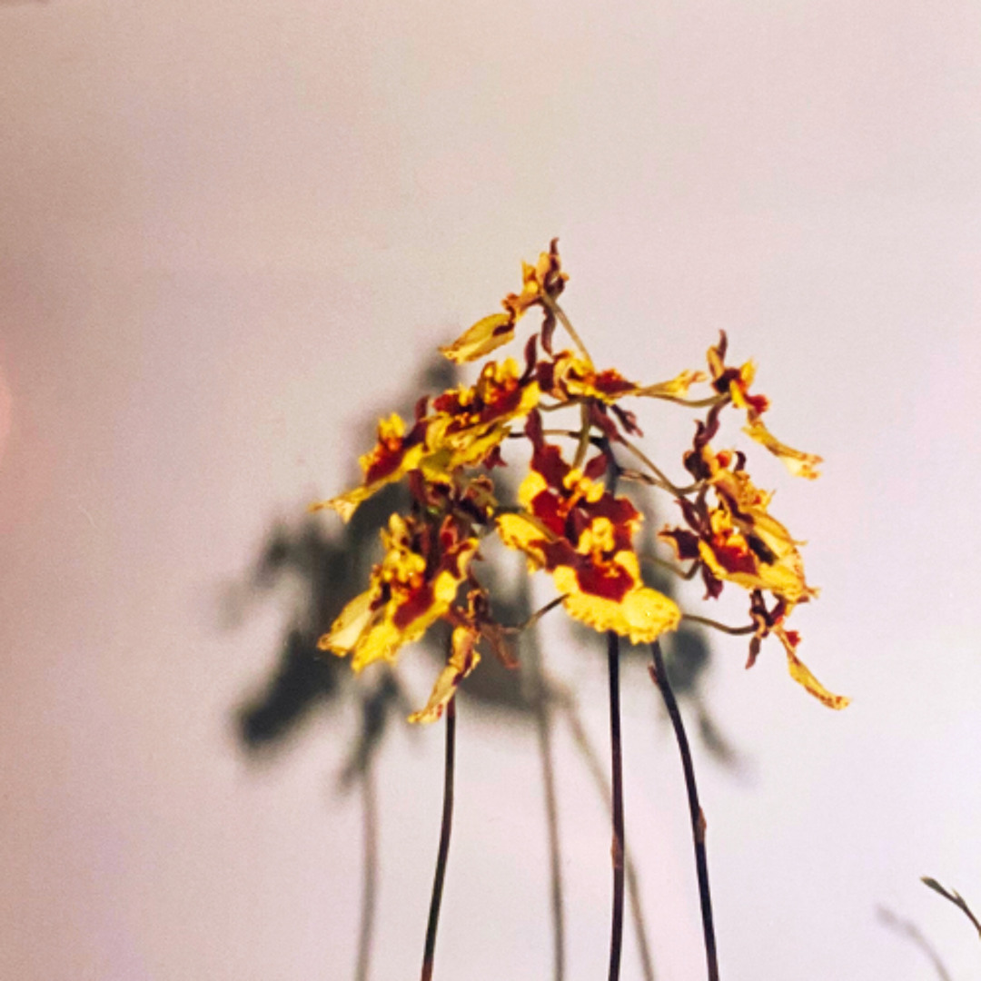 Stream Ela Minus - COMBAT (Vladimir Kusijanović Remix) by Vladimir ...