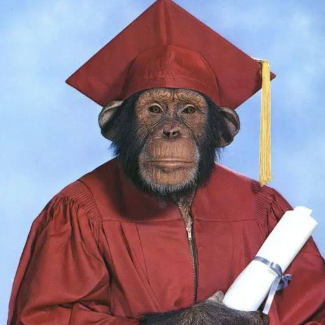 Stream 2 Girls 1 Cup By Flameassfuck Listen Online For Free On Soundcloud