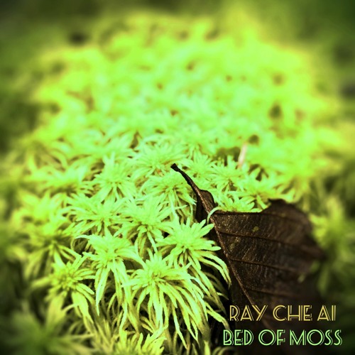 Stream Bed of Moss - Ray Che ai by Ray Che | Listen online for free on ...