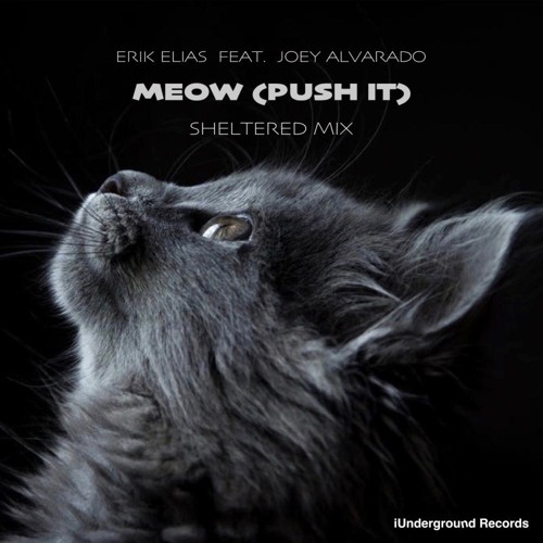 Stream Meow (Push It) (Sheltered Mix) by Erik Elias/ iUnderground ...