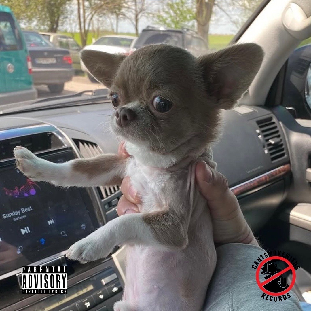 Stream Dope Boy Magic (prod. Tacet) by Doddy Gatz | Listen online for ...