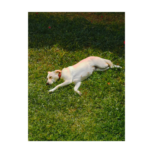 Stream Cuando Me Dé Cuenta by emilia f | Listen online for free on ...