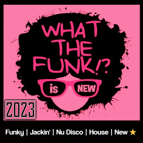 Stream Funky And Disco House Mix 2023 ⭐what The Funk Is Nu ⭐ By Dj Rip ⭐