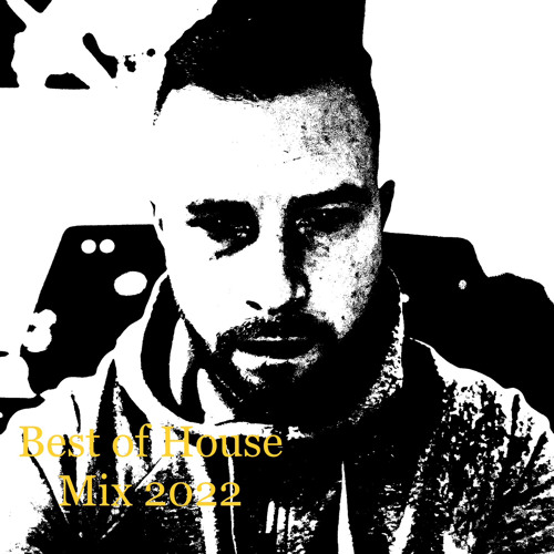 Stream Best Of House Mix 2022 By Dj Ross Peckham Listen Online For