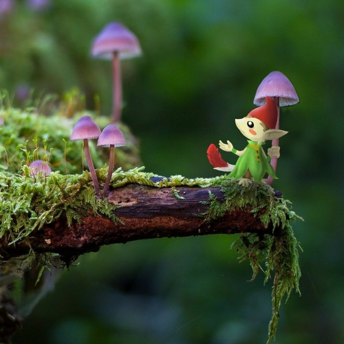Stream The Legend Of zelda Minish Cap Picori Festival Orchestrated by ... Stream The Legend Of zelda Minish Cap Picori Festival Orchestrated by ...