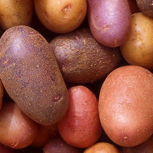 Stream Cheryl Wheeler - Potato (Bongs237 Remix) by Bongs237 | Listen ...