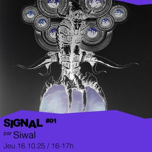 Stream SIGNAL #11 - Siwal - 16/10/2025 by RADIO DY10 | Listen online ...