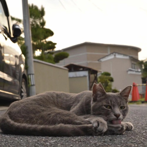 Stream Issei Uno fifth, LANA - OK (prod.KESSO,LAZE) [Dir. LAZE] by ...