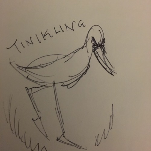 Tinikling Bird