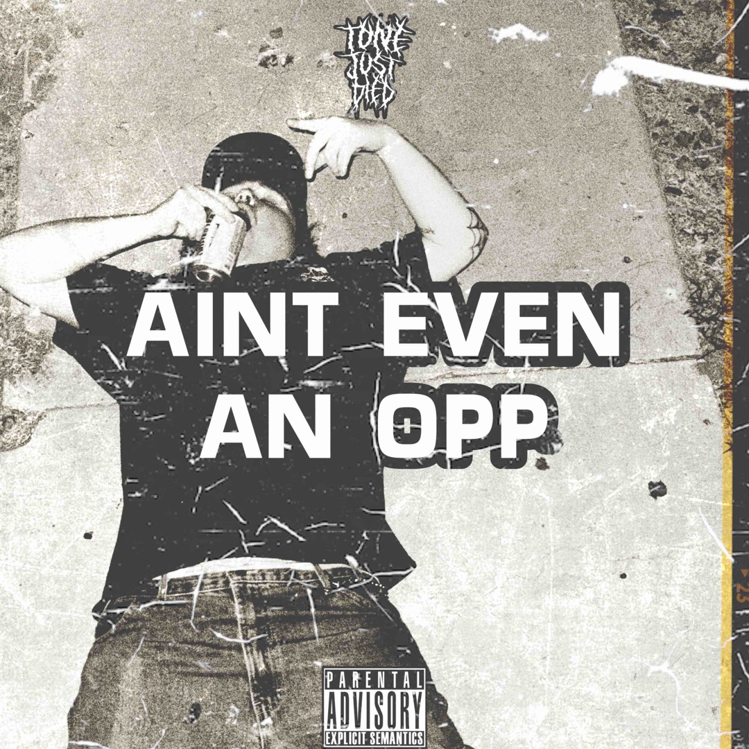 Stream AINT EVEN AN OPP by tønejustdied | Listen online for free on ...