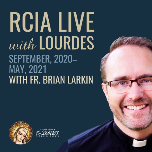 Stream RCIA Class 14 Official Catholic Teaching Cult Of Personality Faith Fr Brian stream-rcia-class-14-official-catholic-teaching-cult-of-personality-faith-fr-brian