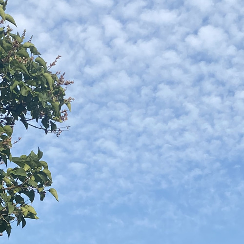 Stream jane doe by jake howl | Listen online for free on SoundCloud