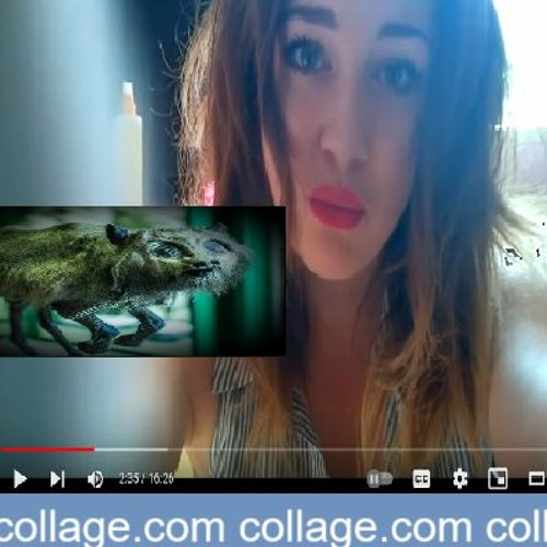 Stream collage.com by 2moges | Listen online for free on SoundCloud