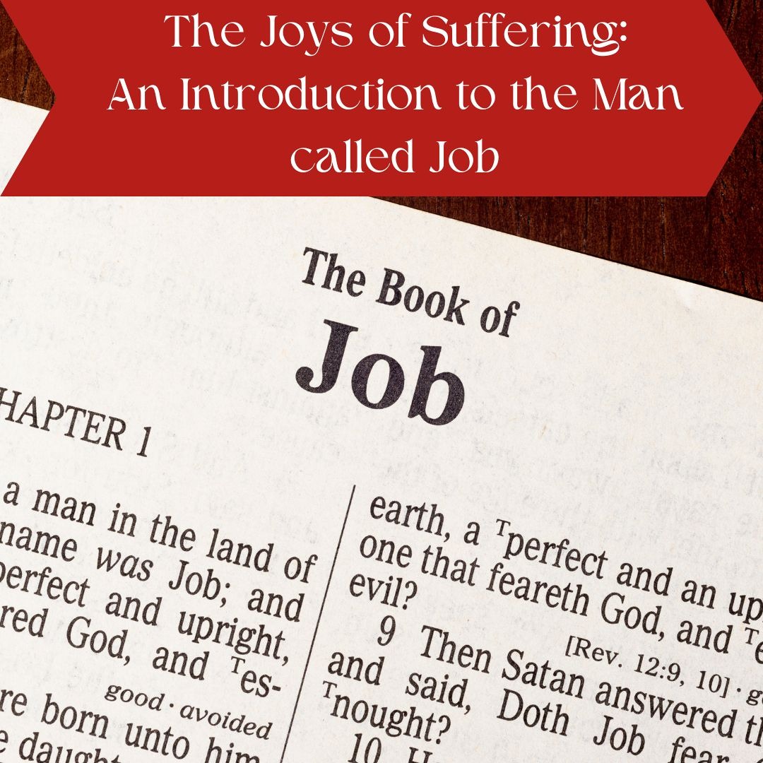 Stream The Joys of Suffering: An Introduction to the Man called Job by ...