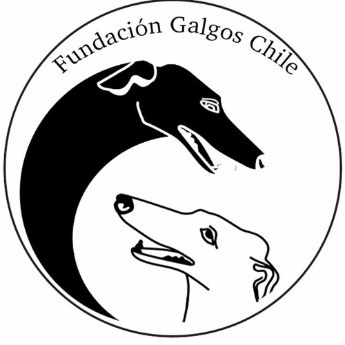 Stream Lorena Schultz, Fundación Galgos Chile. by Camila Eguía | Listen ...