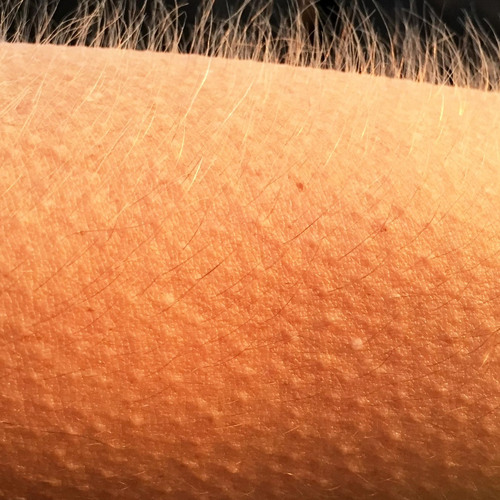 Stream Squishy "Goose Bumps" Divine House 7.16.21 by RockToRecovery ...