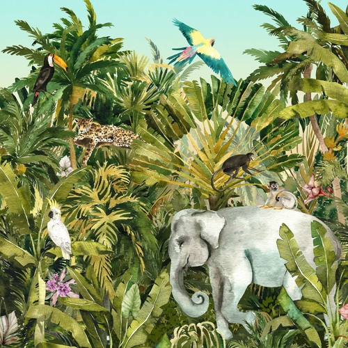 Stream Artem K. | Listen to "Kabuki"- flora/fauna electronic music ...