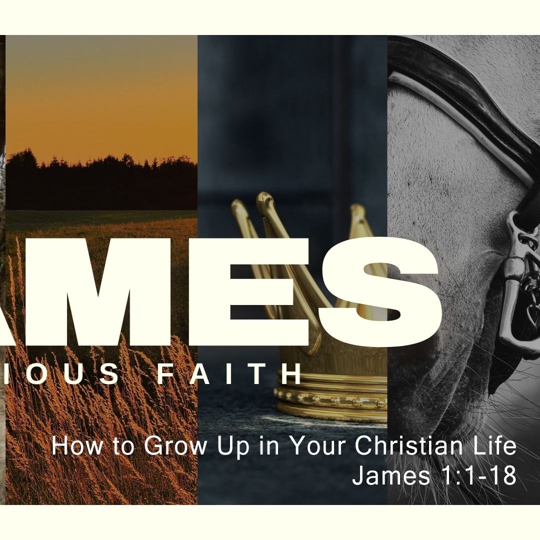 Stream How to Grow Up in Your Christian Life (The Hub) by ...