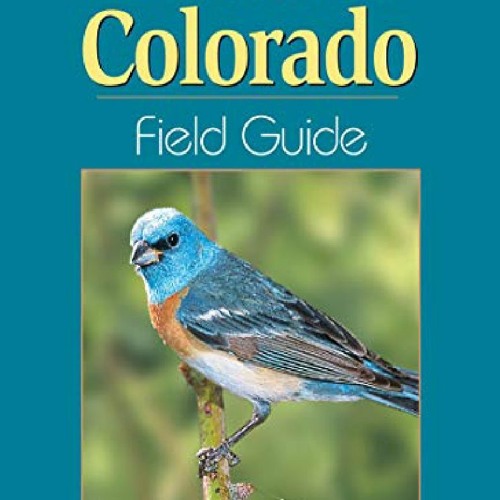 Stream episode [PDF] Birds of Colorado Field Guide by libote podcast ...
