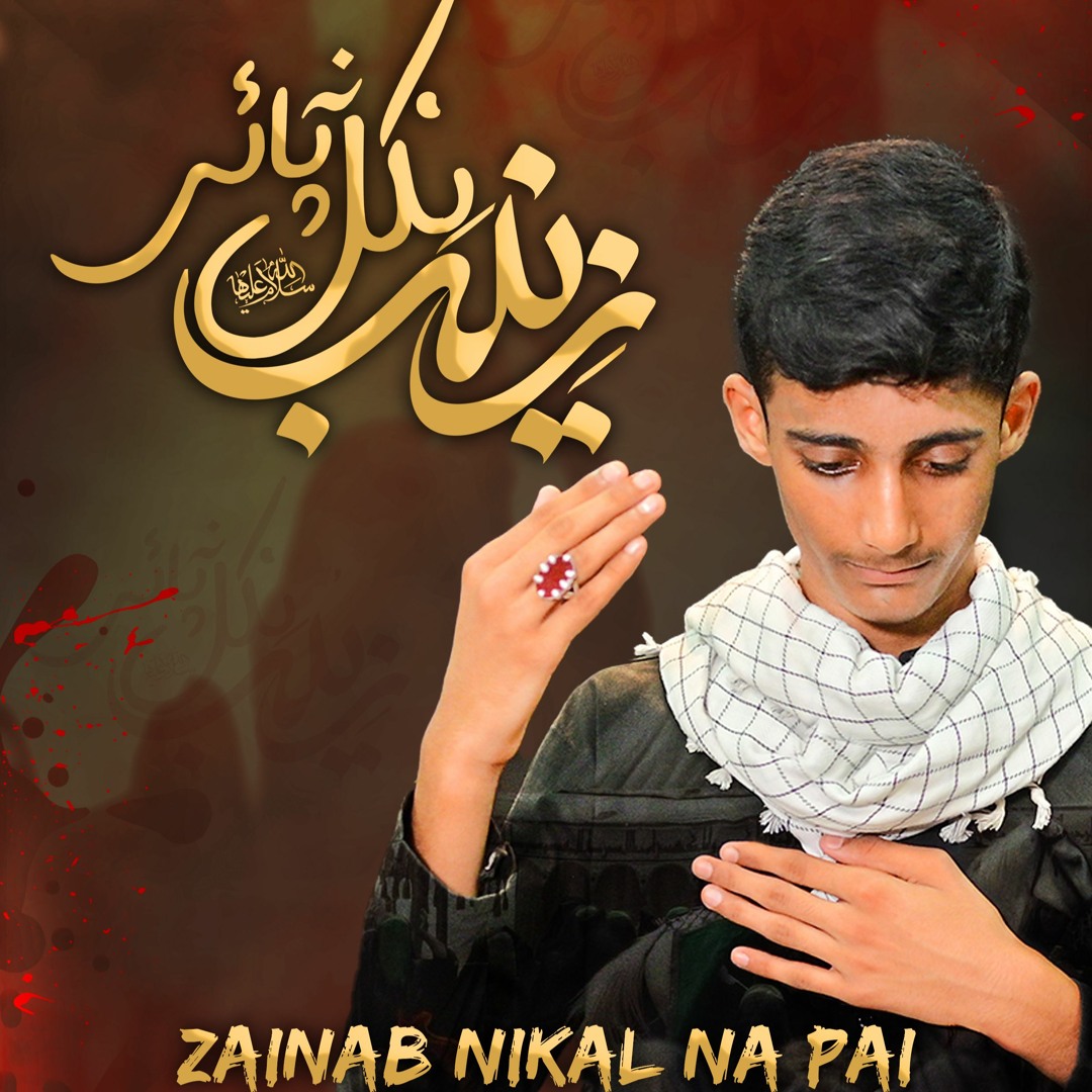 Stream New Noha 2023 | Zainab S.A Nikal Na Pai | Shabih Haider ...