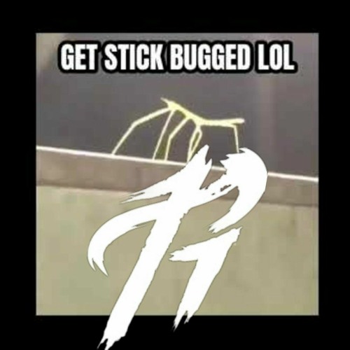 Stream Get Stick Bugged Lol - Guitar Cover by RichaadEB by SpR V GmR ...