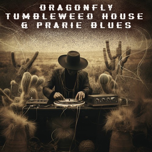 Stream DRAGONFLY - TUMBLEWEED HOUSE & PRAIRIE BLUES by DR∆GONFLY ...