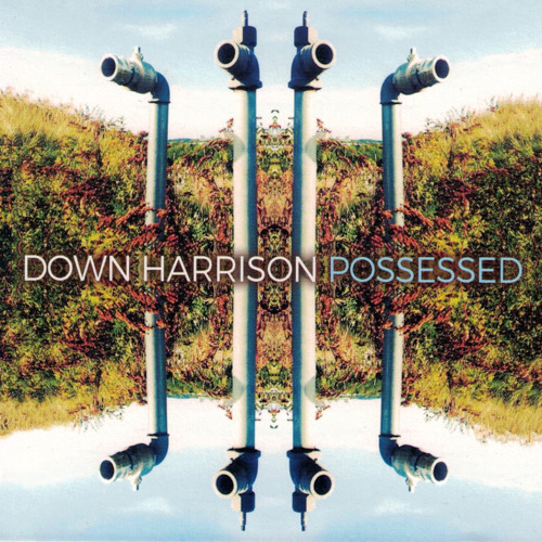 Stream Monkey See Monkey Do by Down Harrison | Listen online for free ...
