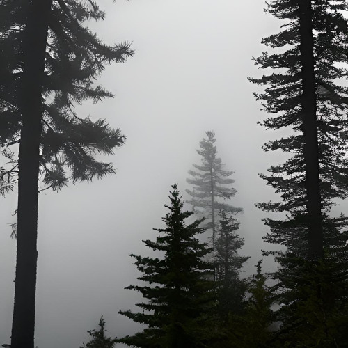 Stream All My Love - Rheemix by John Rhee | Listen online for free on SoundCloud