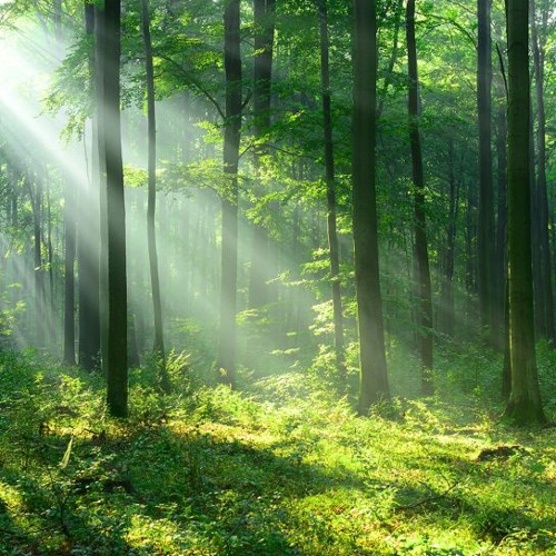 Stream Priroda Je Dar w/ker4k (prod.yuno) by LILZAJO | Listen online ...