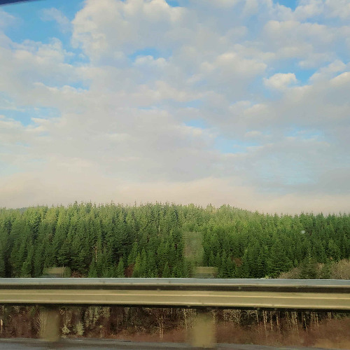 Stream Trees On The Other Side by shmingus | Listen online for free on ...