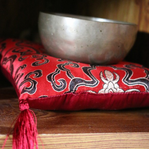 Stream Talk - Monastic Approach to Quarantine - Soryu Forall - Sunday ...