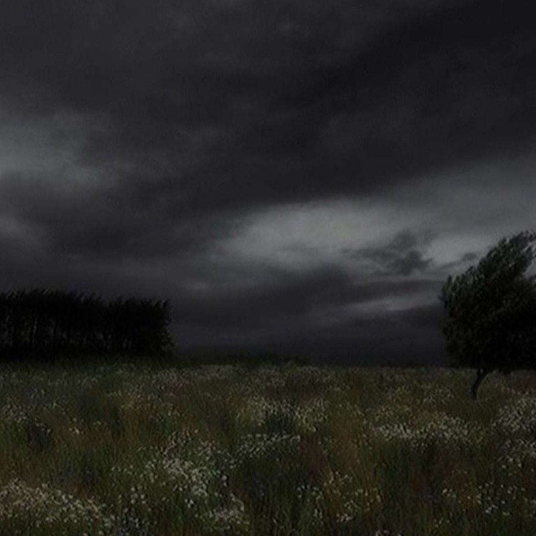 Stream 3 am walk - daniel.mp3 by songs | Listen online for free on ...