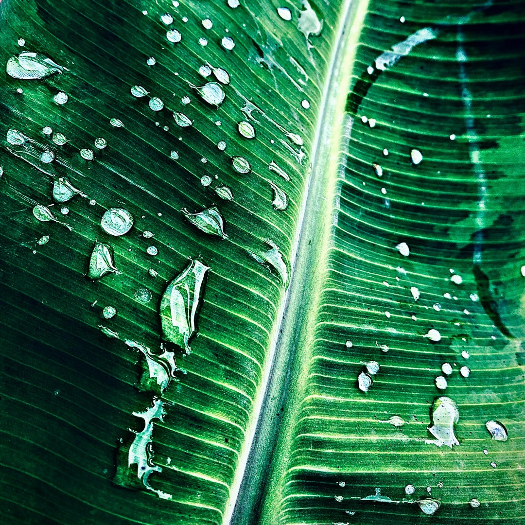 Stream OECUS Premiere | Hedström & Pflug - 8.PQ [HP001] by OECUS ...